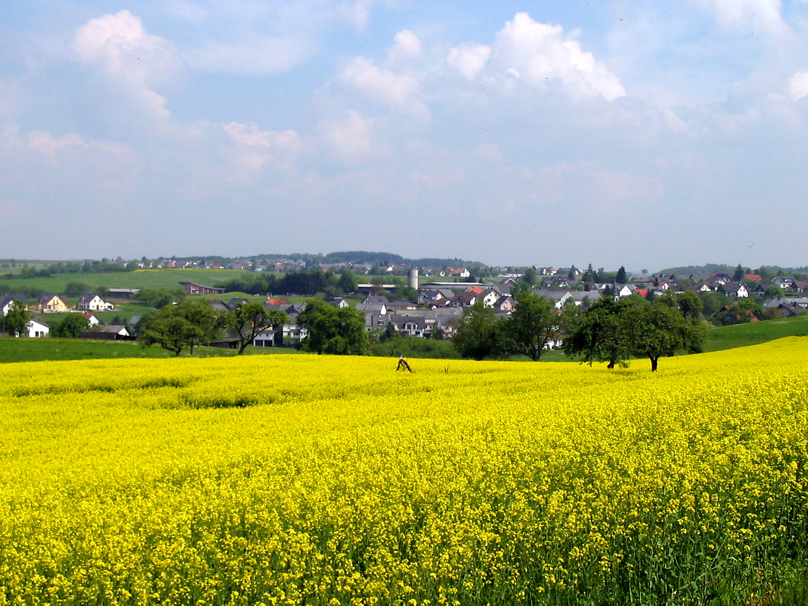 Hupperath | Verbandsgemeinde Wittlich-Land